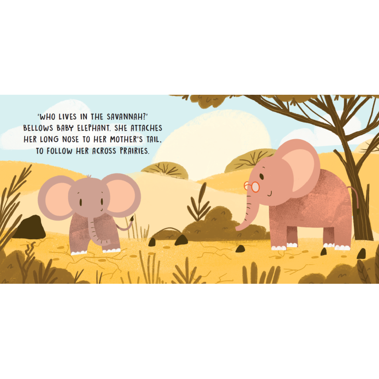 Sweet Sounds Stories. The Savannah